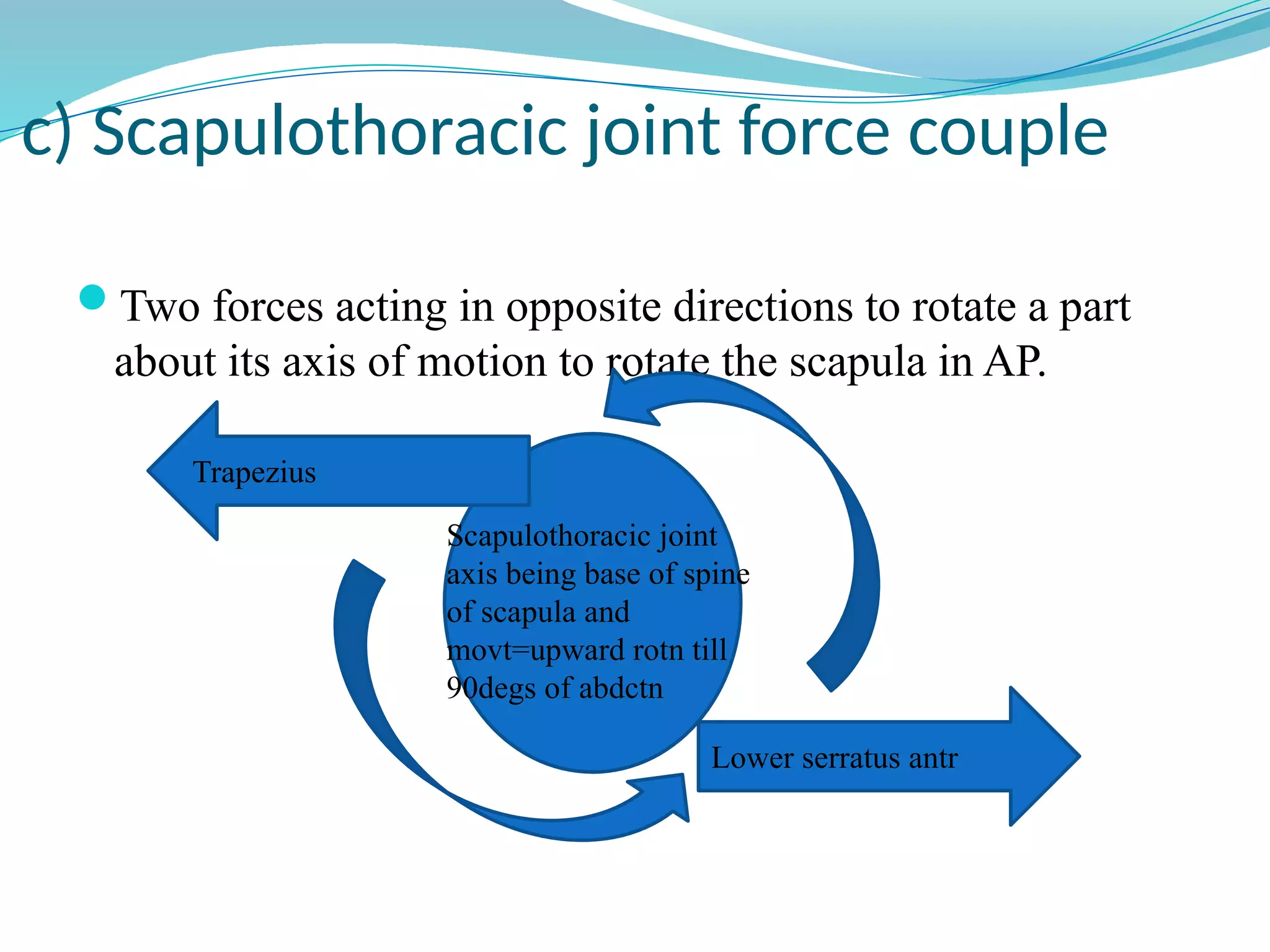 Shoulder anatomy__biomechanics__pathomechanics | PDF