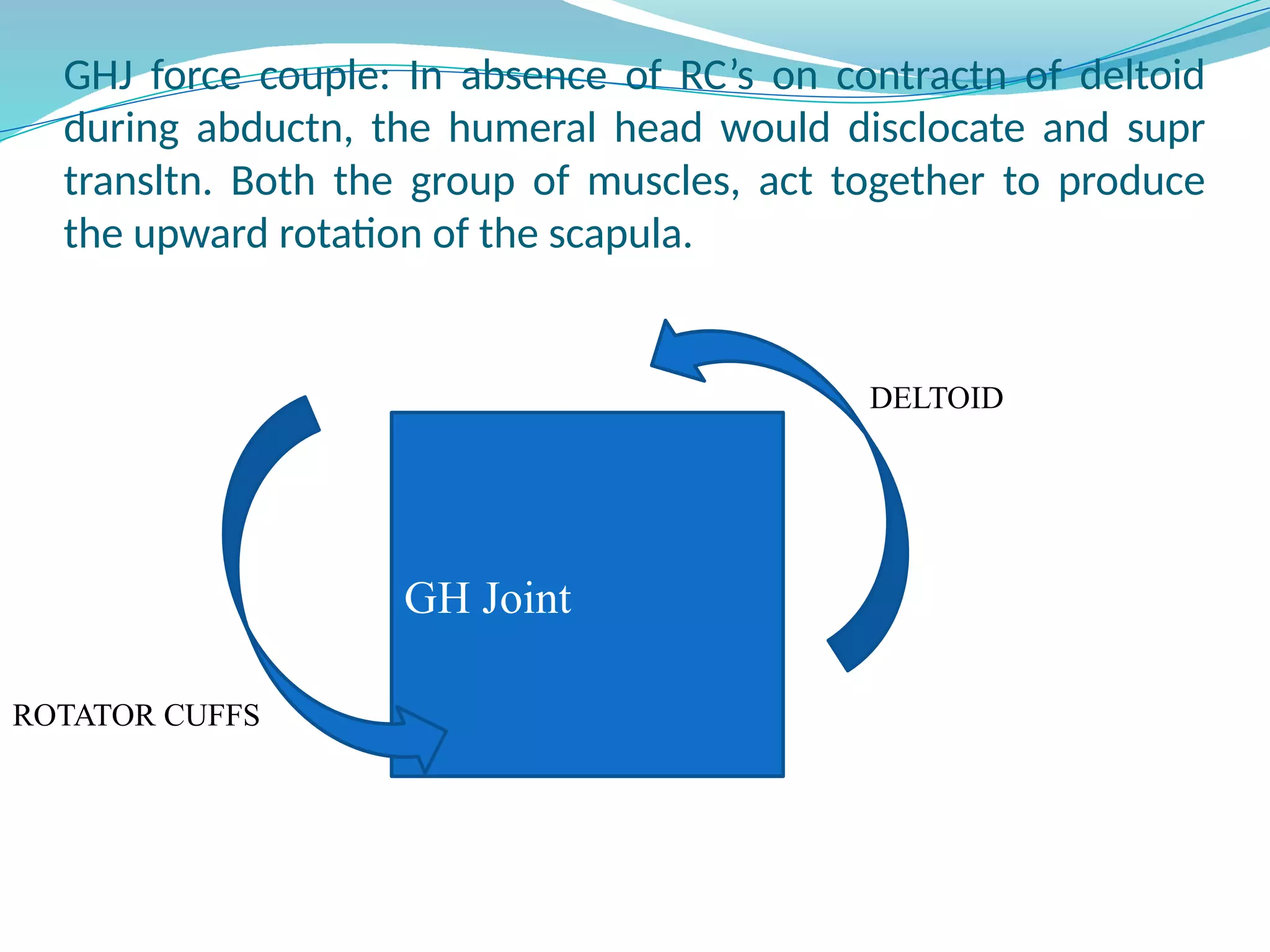 Shoulder anatomy__biomechanics__pathomechanics | PDF