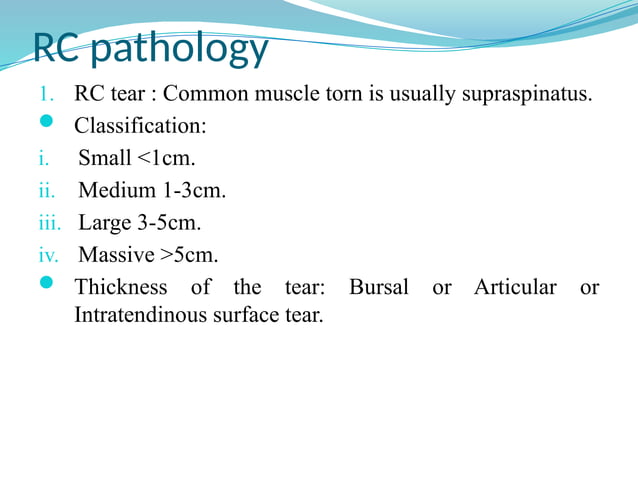 Shoulder anatomy__biomechanics__pathomechanics | PDF