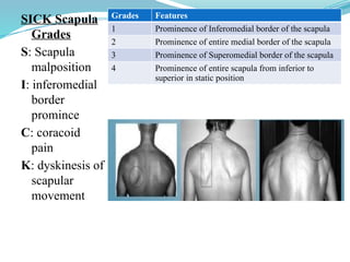 Shoulder anatomy__biomechanics__pathomechanics | PDF