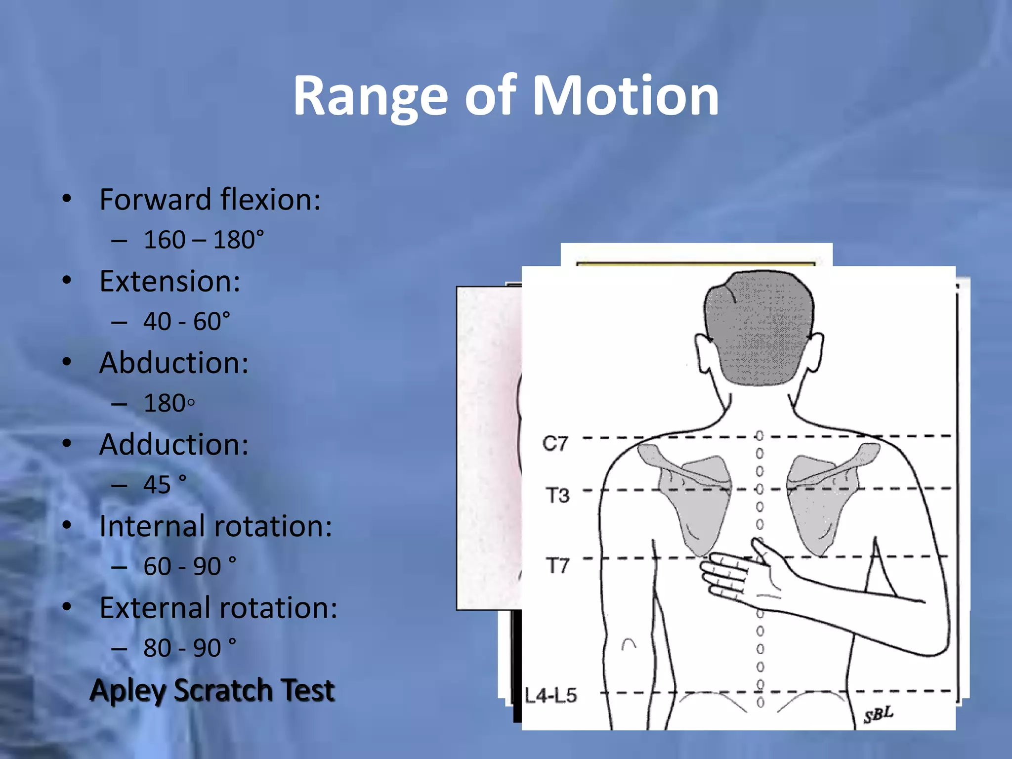 Shoulder anatomy & examination-2.pptx