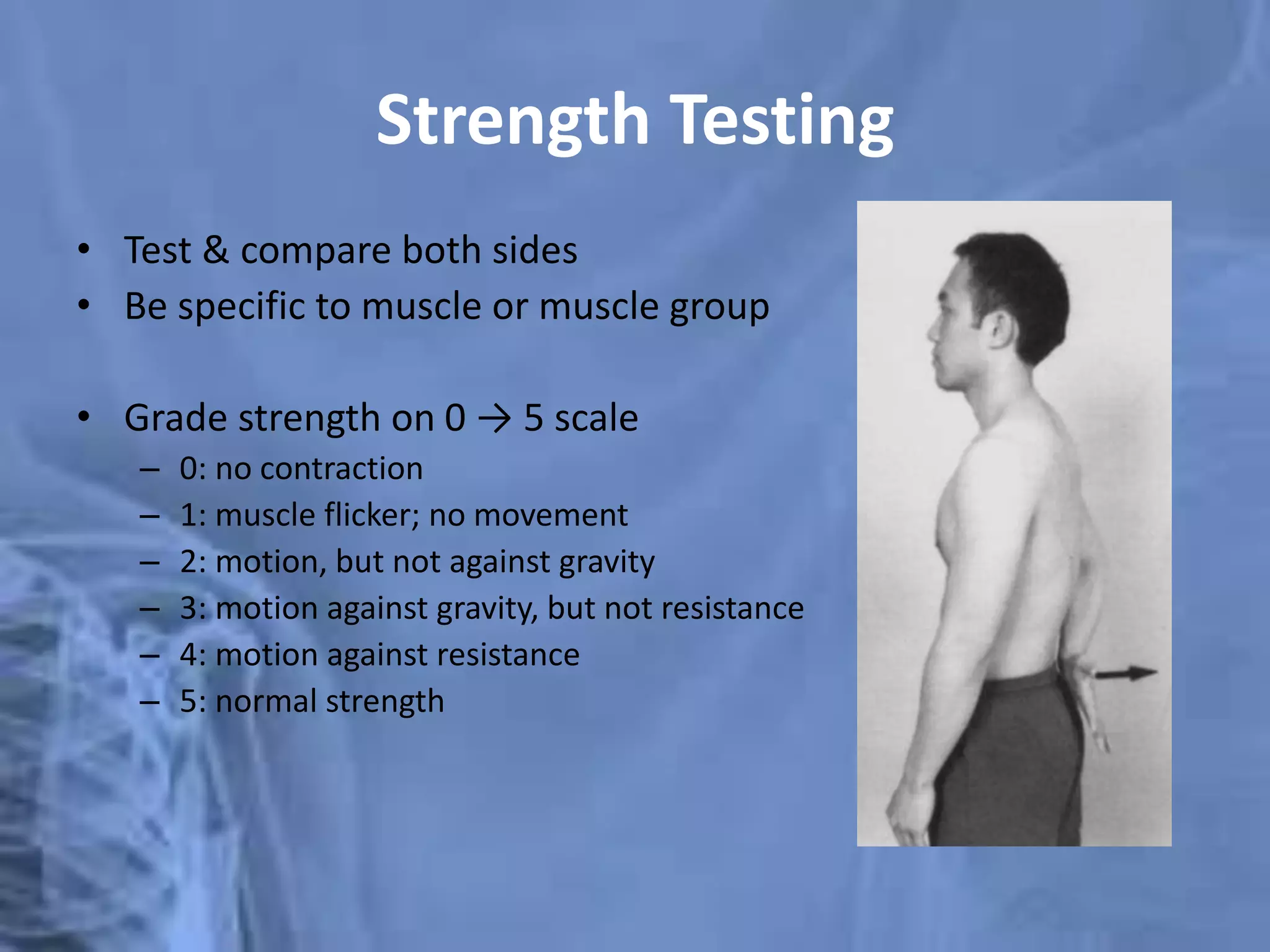 Shoulder anatomy & examination-2.pptx