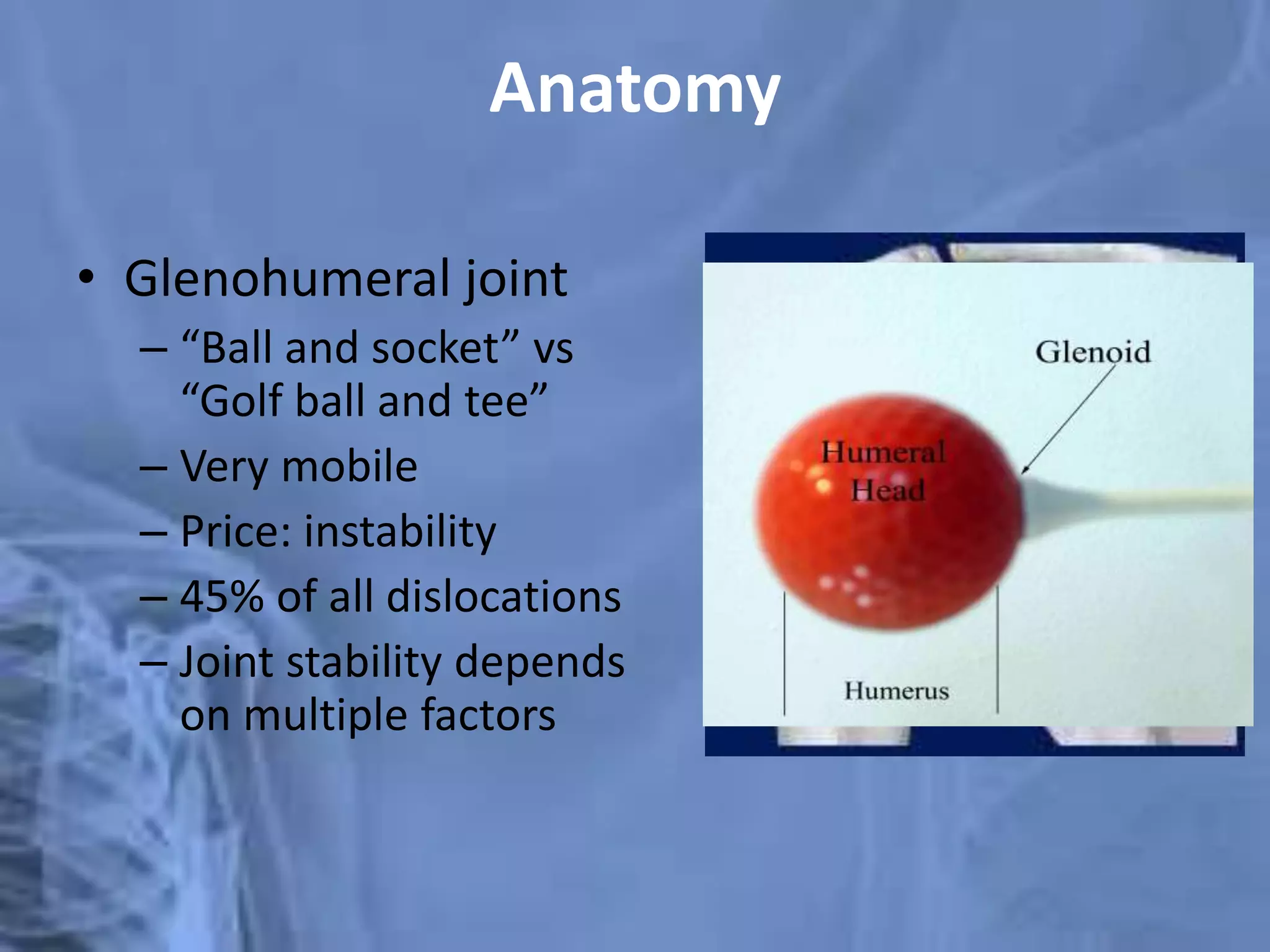 Shoulder anatomy & examination-2.pptx