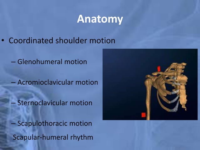 Shoulder anatomy & examination-2.pptx