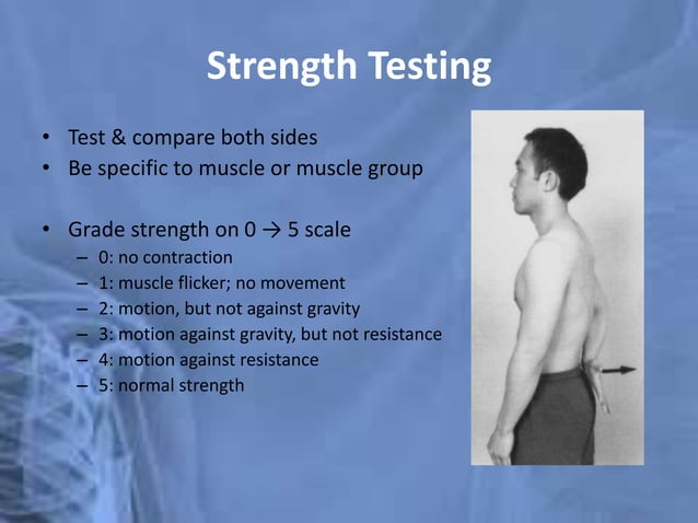 Shoulder anatomy & examination-2.pptx