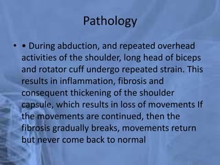 Shoulder anatomy & examination-2.pptx
