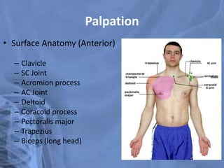 Coracoid Process Palpation