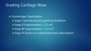 Shoulder Arthritis | Shoulder Instability | South Windsor, Rocky Hill ...