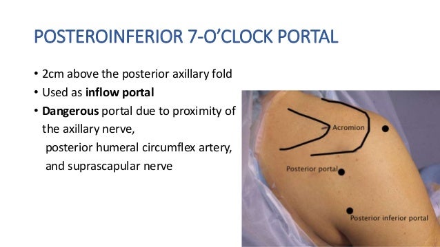 Shoulder Arthroscopy Anatomy