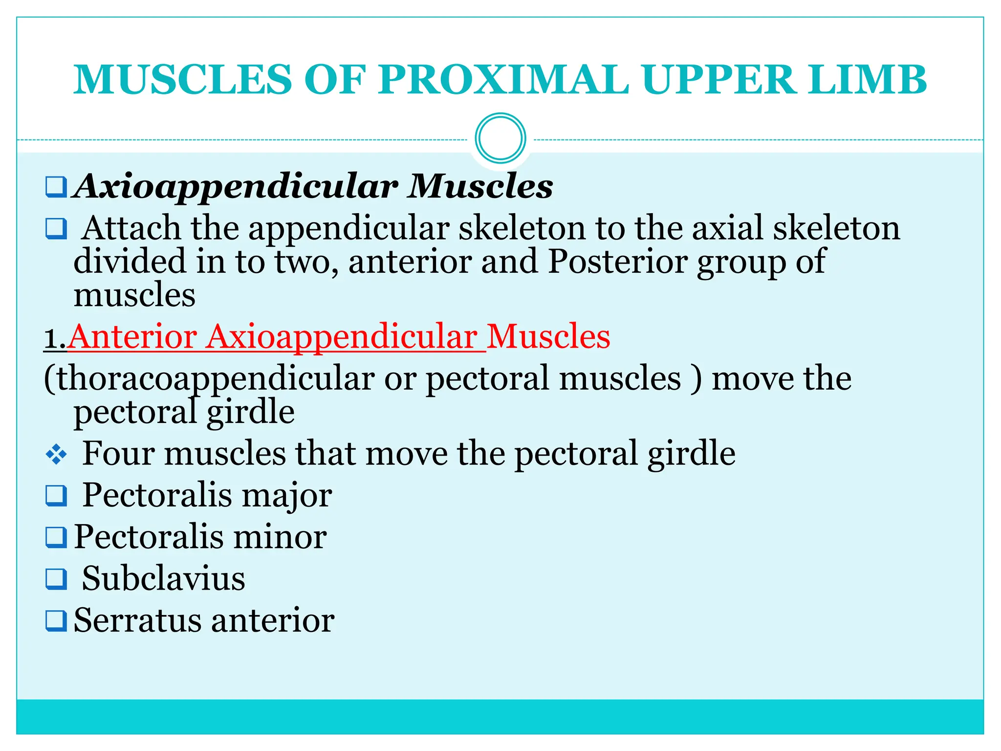 shoulder Anatomy by ayalew.orthopedic residentpptx, | PPT