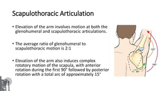 Shoulder bio-mechanics | PPTX