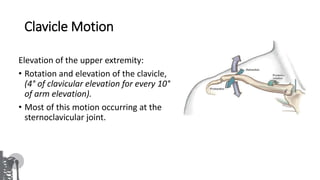 Shoulder bio-mechanics | PPTX