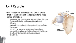 Shoulder bio-mechanics | PPTX