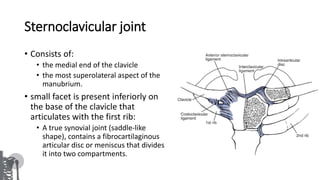 Shoulder bio-mechanics | PPTX