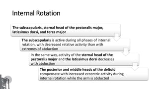 Shoulder bio-mechanics | PPTX