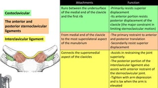 Shoulder bio-mechanics | PPTX