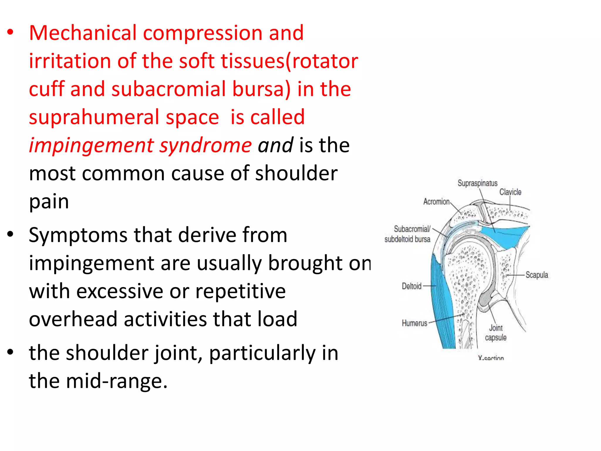 shoulder_biomechanics_part_3.ppt