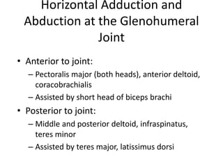 shoulder_biomechanics_part_3.ppt