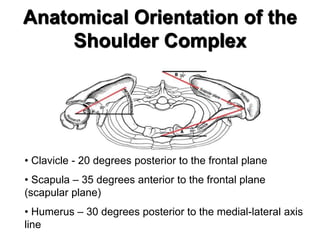 shoulder_biomechanics_part_3.ppt