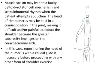 shoulder_biomechanics_part_3.ppt