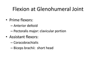 shoulder_biomechanics_part_3.ppt