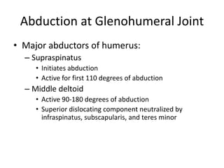 shoulder_biomechanics_part_3.ppt