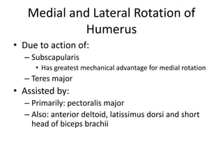 shoulder_biomechanics_part_3.ppt