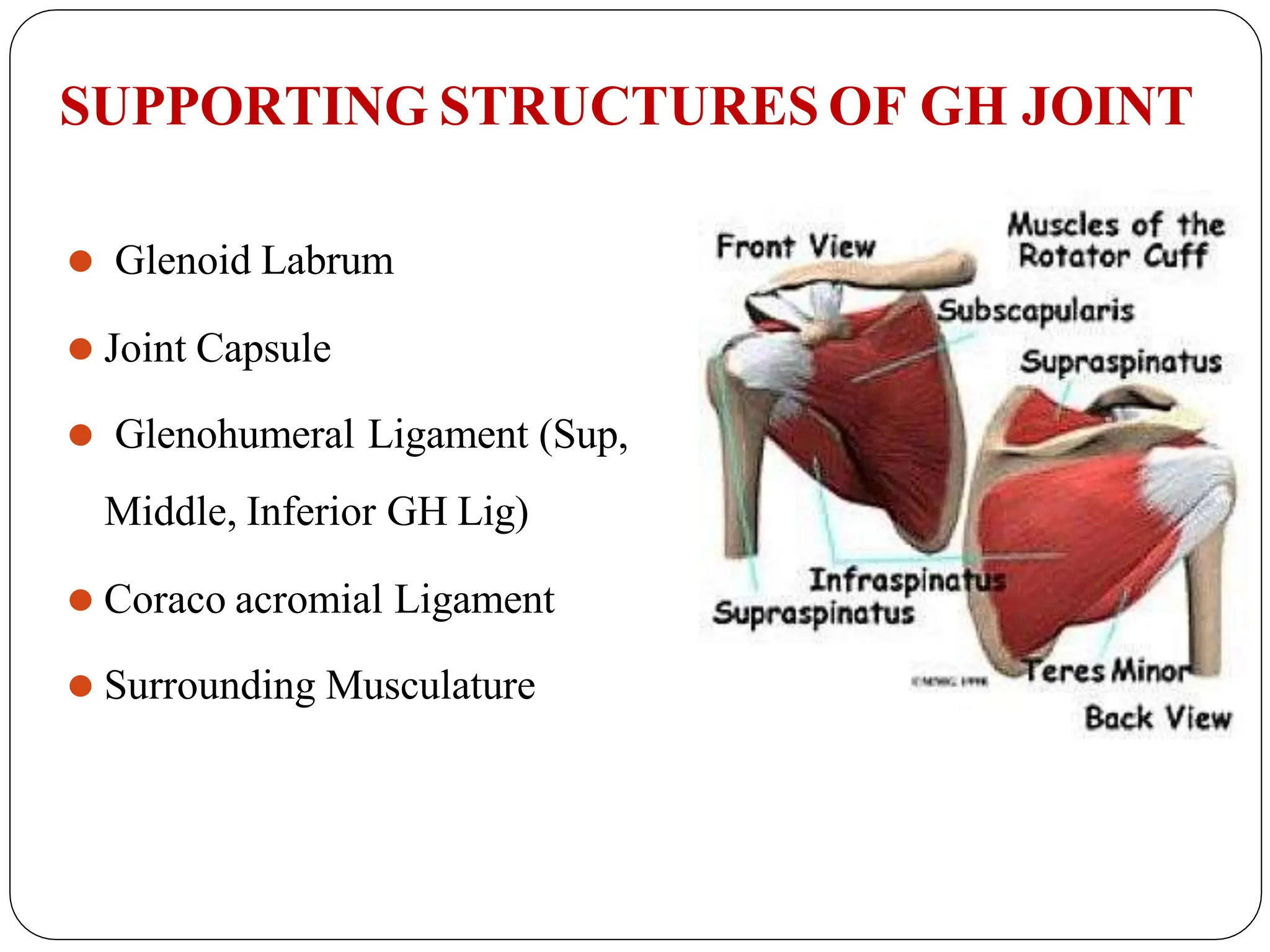 Shoulder Biomechnics - Dr.BHARTI PAWAR (PT).pptx