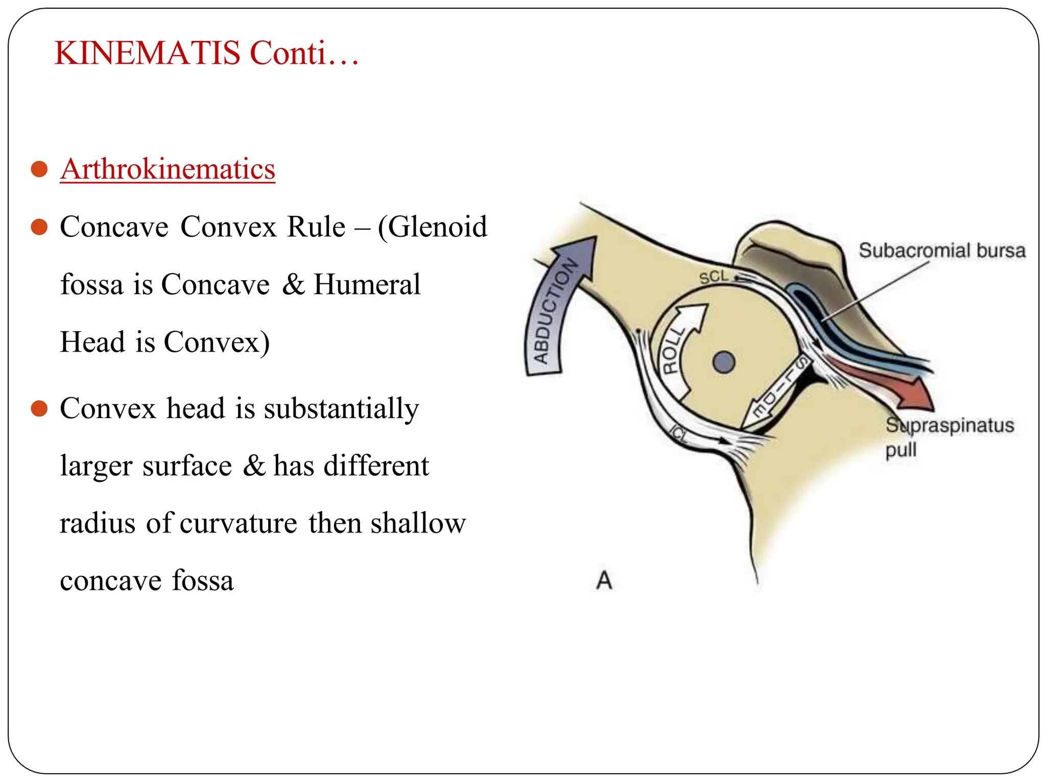 Shoulder Biomechnics - Dr.BHARTI PAWAR (PT).pptx