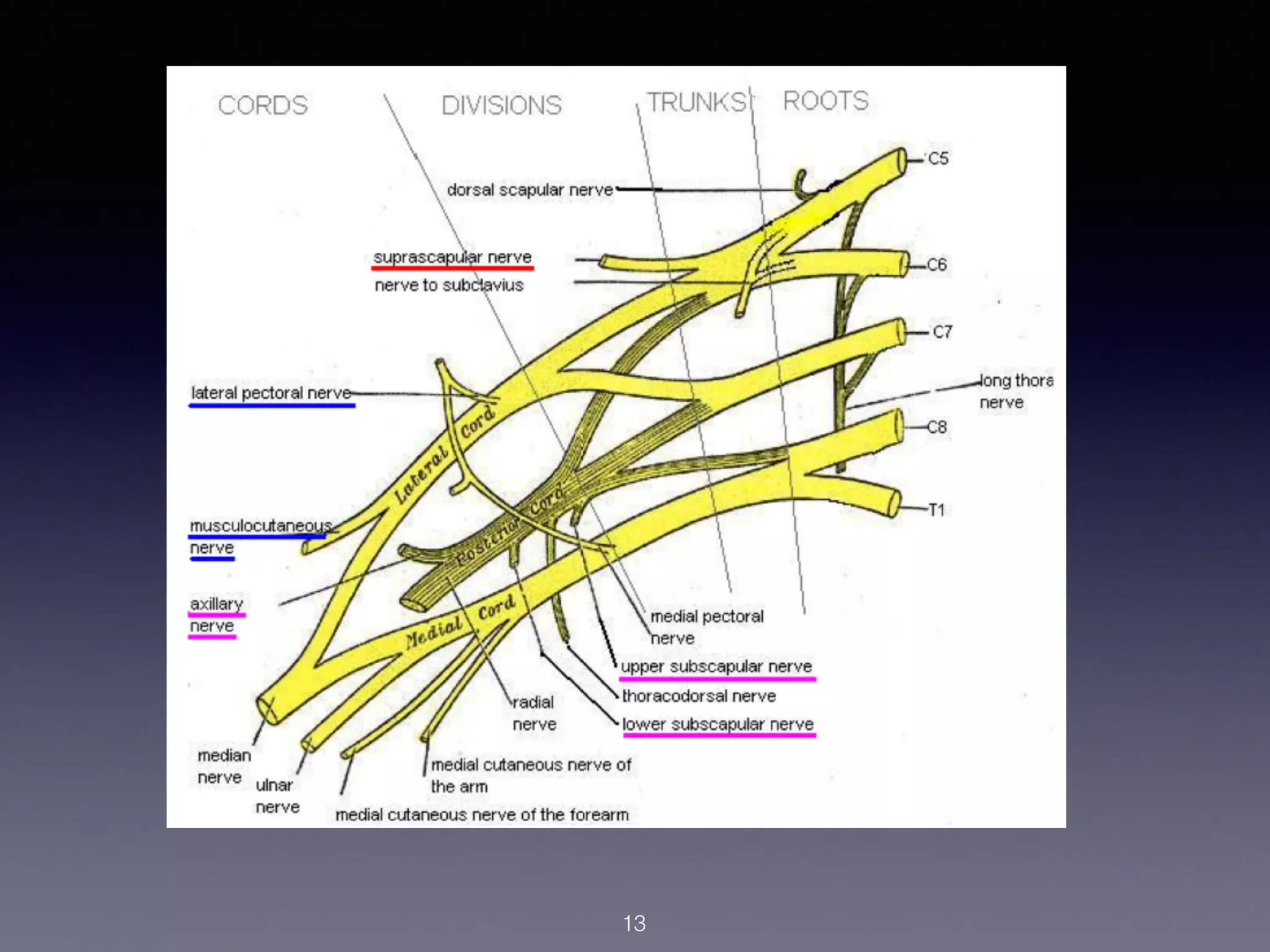 Shoulder block tutorial 2014 | PPT