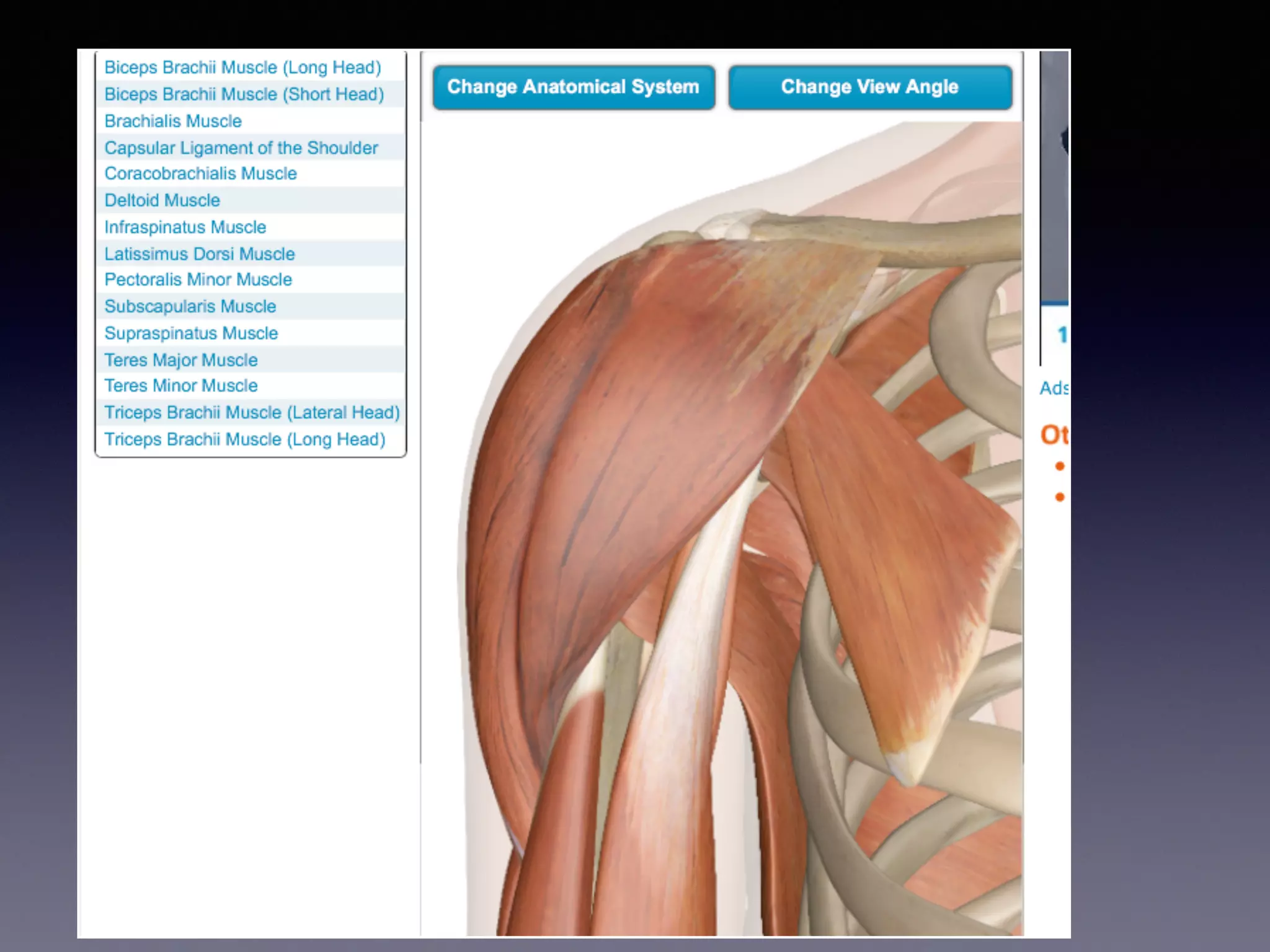 Shoulder block tutorial 2014 | PPT