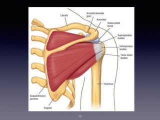 Shoulder block tutorial 2014 | PPT