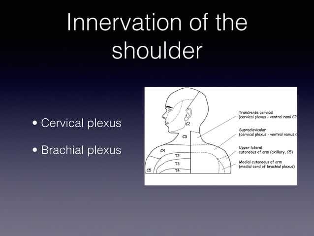 Shoulder block tutorial 2014 | PPT