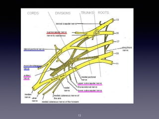 Shoulder block tutorial 2014 | PPT