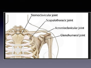 Shoulder block tutorial 2014 | PPT
