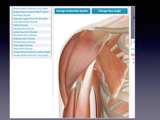 Shoulder block tutorial 2014 | PPT