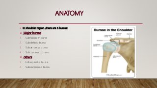 Shoulder bursitis by syedha zainab BPT 2nd year.