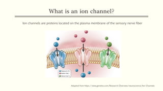 Shoulder pain relief based on new science | PDF | Brain and Nervous System Disorders | Diseases ...