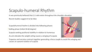 Biomechanics of the Shoulder Complex-1.pptx