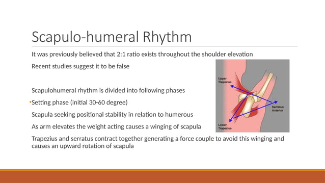 Biomechanics of the Shoulder Complex-1.pptx
