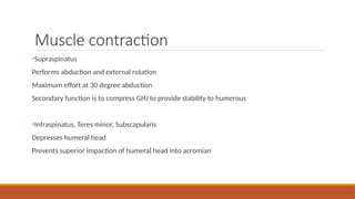 Biomechanics of the Shoulder Complex-1.pptx