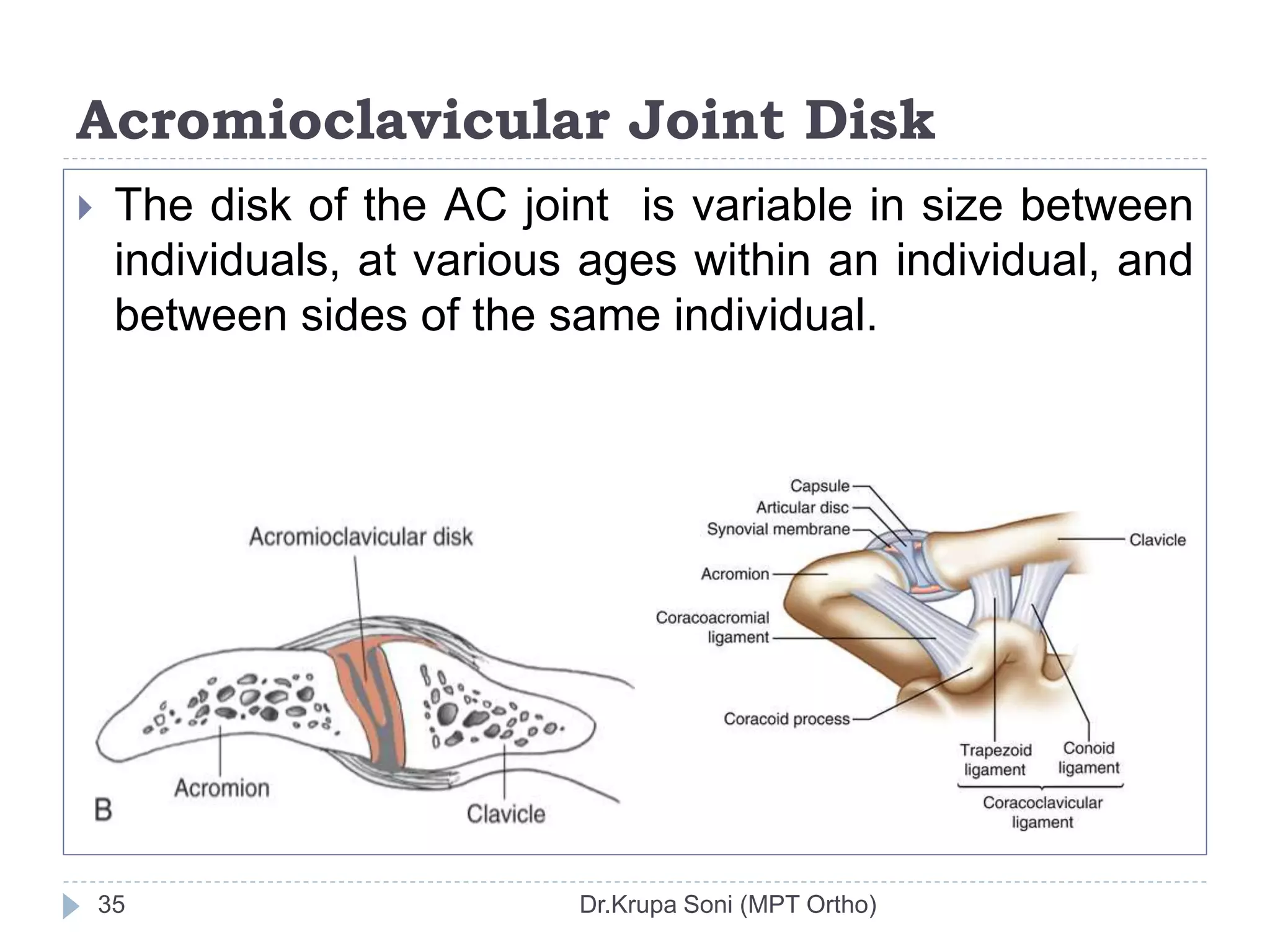 Shoulder complex Biomechanics | PPTX