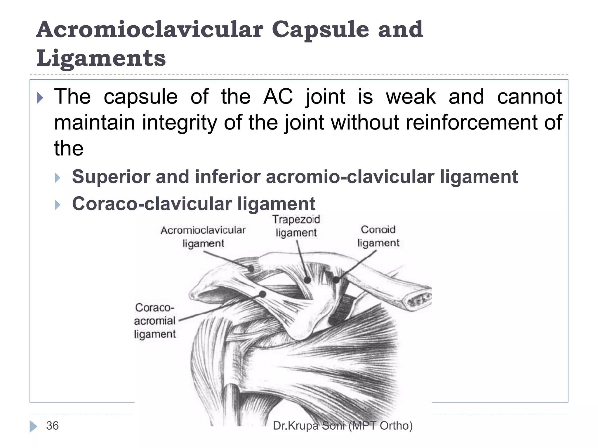 Shoulder complex Biomechanics | PPTX