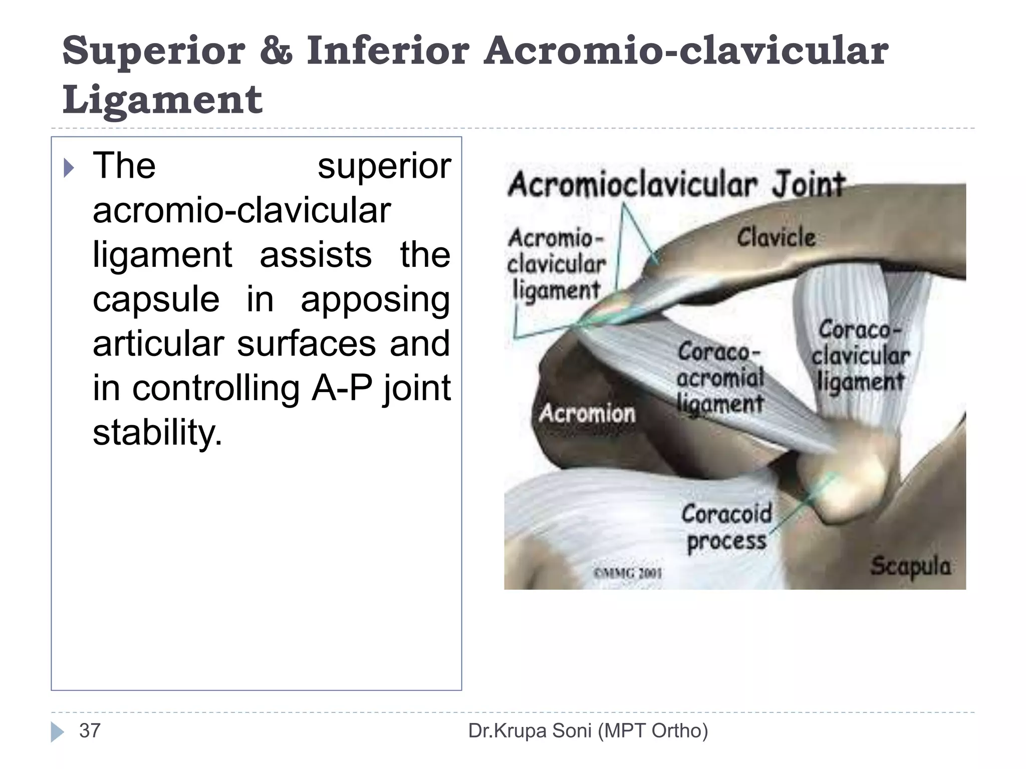 Shoulder complex Biomechanics | PPTX
