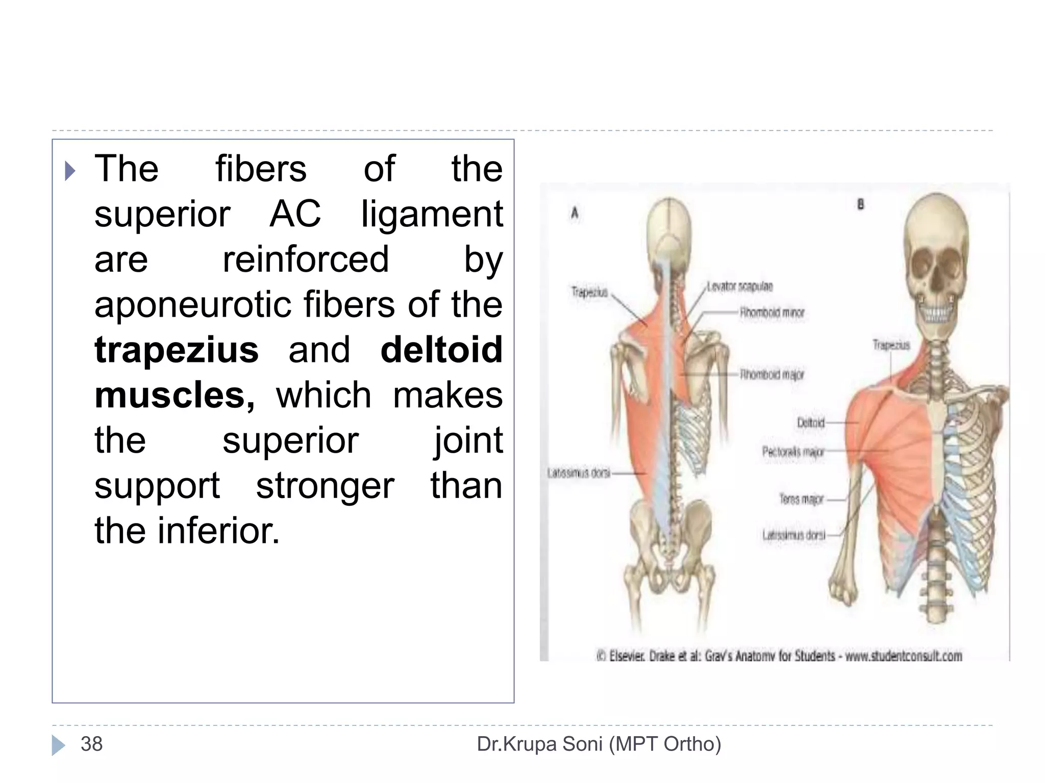 Shoulder complex Biomechanics | PPTX