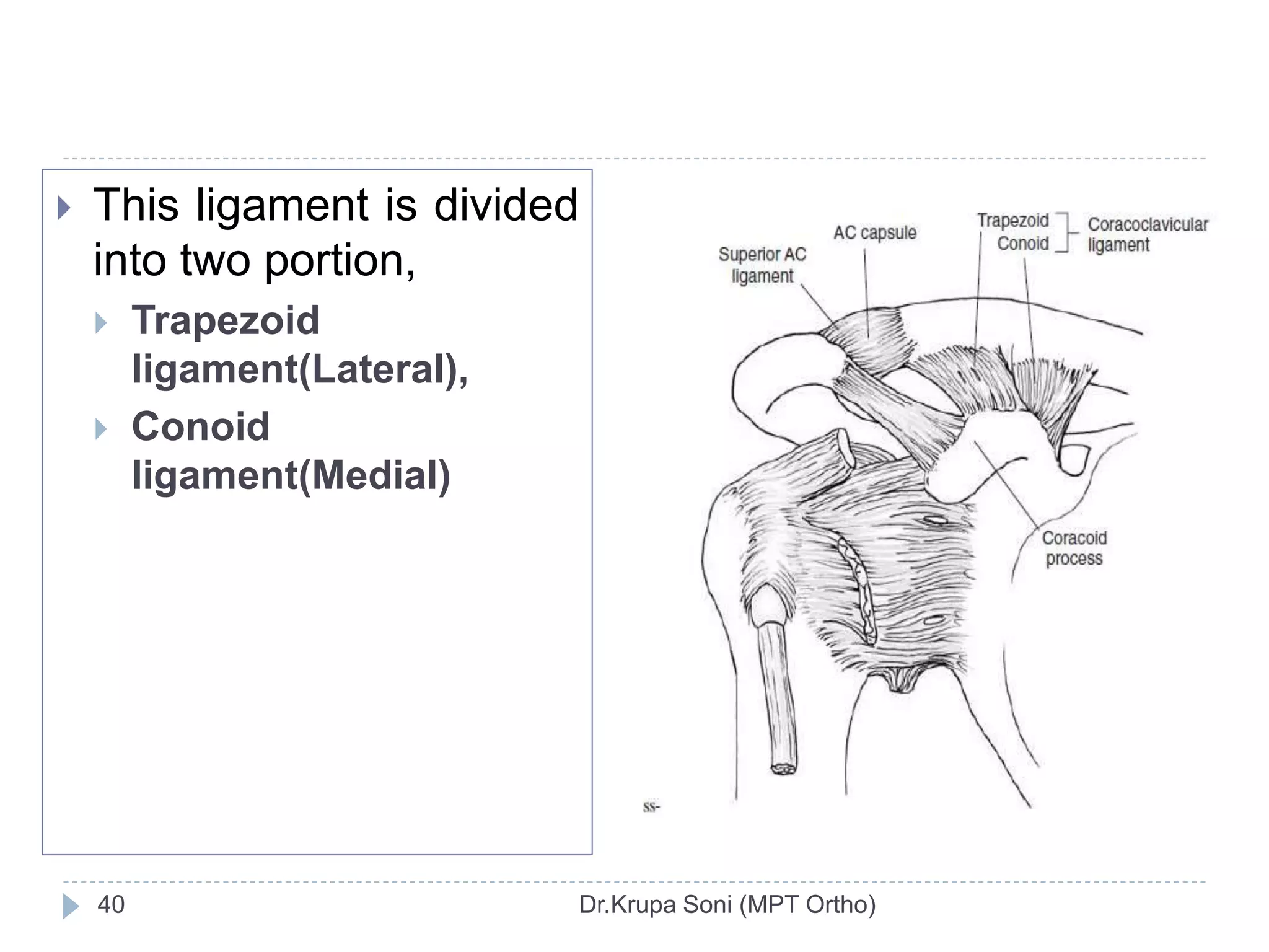 Shoulder complex Biomechanics | PPTX