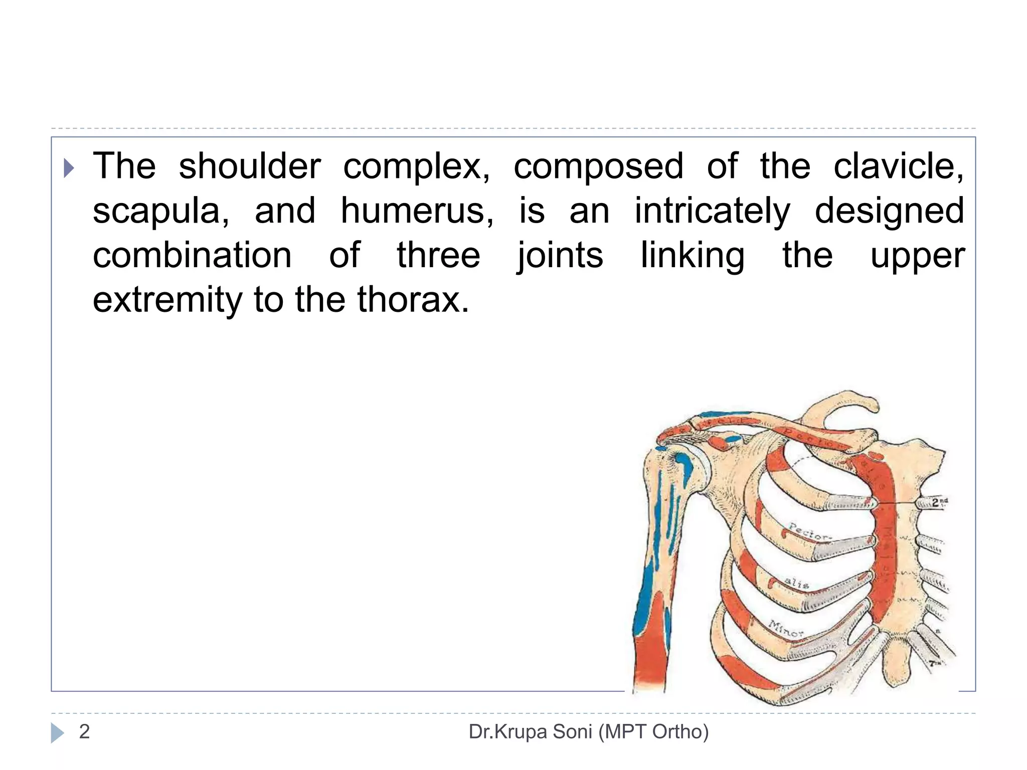 Shoulder complex Biomechanics