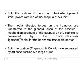 Shoulder complex Biomechanics | PPTX
