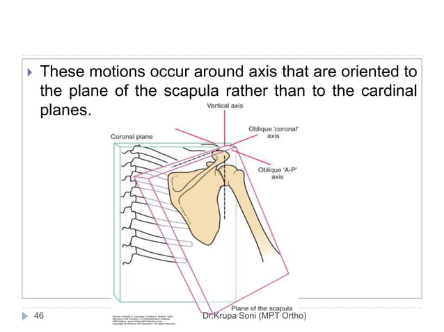 Shoulder complex Biomechanics | PPTX | Death, Injury, or Military ...