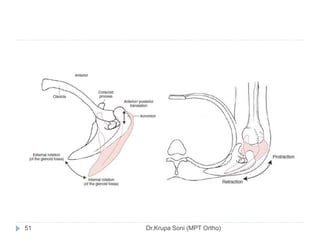 Shoulder complex Biomechanics | PPTX